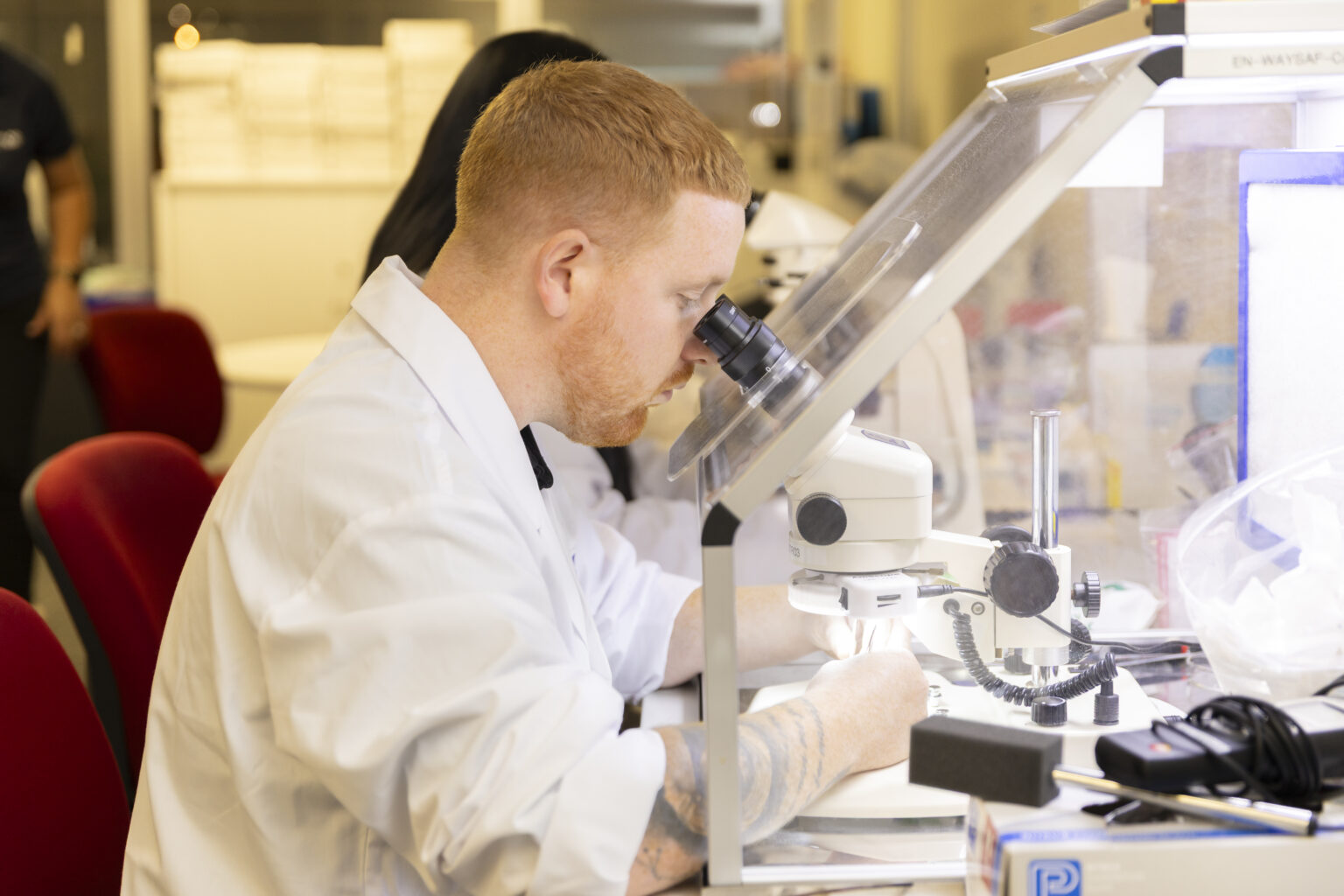 Asbestos Bulk Analysis – Aerem